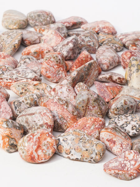 Leopard Skin Jasper Tumbled – Shopalignmentco